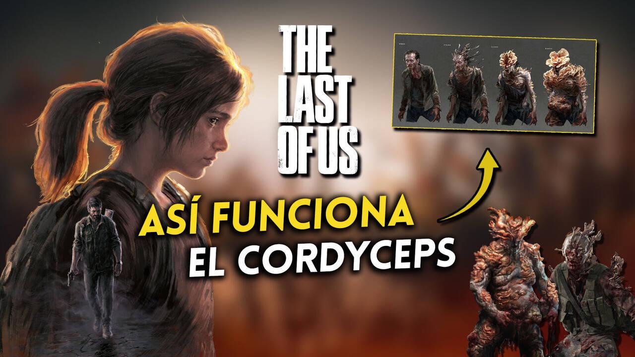 Así funciona el hongo cordyceps de The Last of Us ¿Existe en la vida real? - Vandal