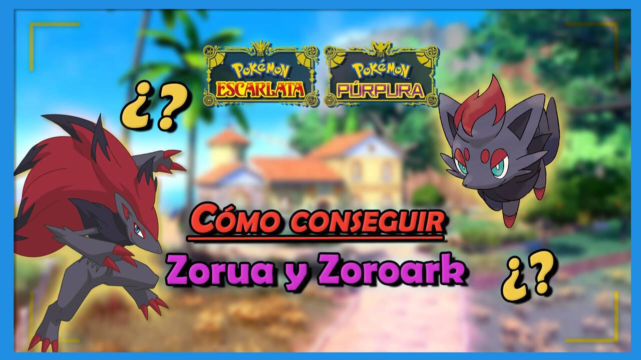Cómo encontrar y capturar a Zorua y Zoroark en Pokémon Escarlata y Púrpura