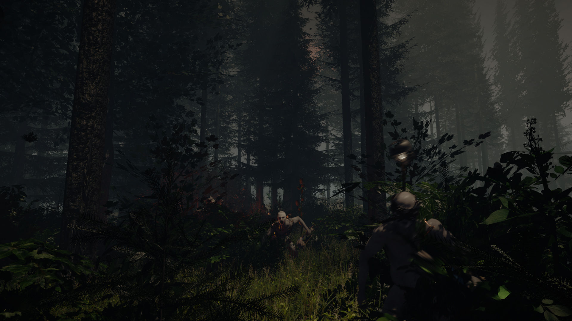Nuevas imágenes del título de terror The Forest - Juegomania
