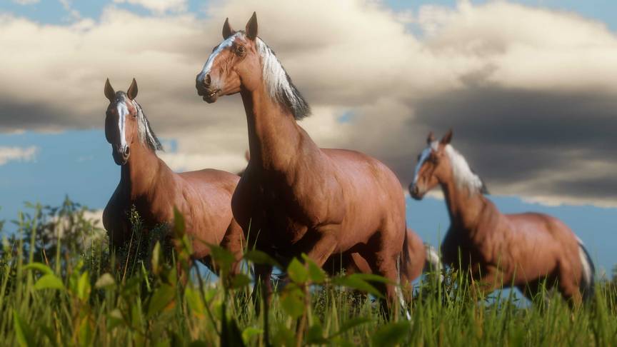 TODAS las razas de caballos en Red Dead Redemption 2 y dónde encontrarlas
