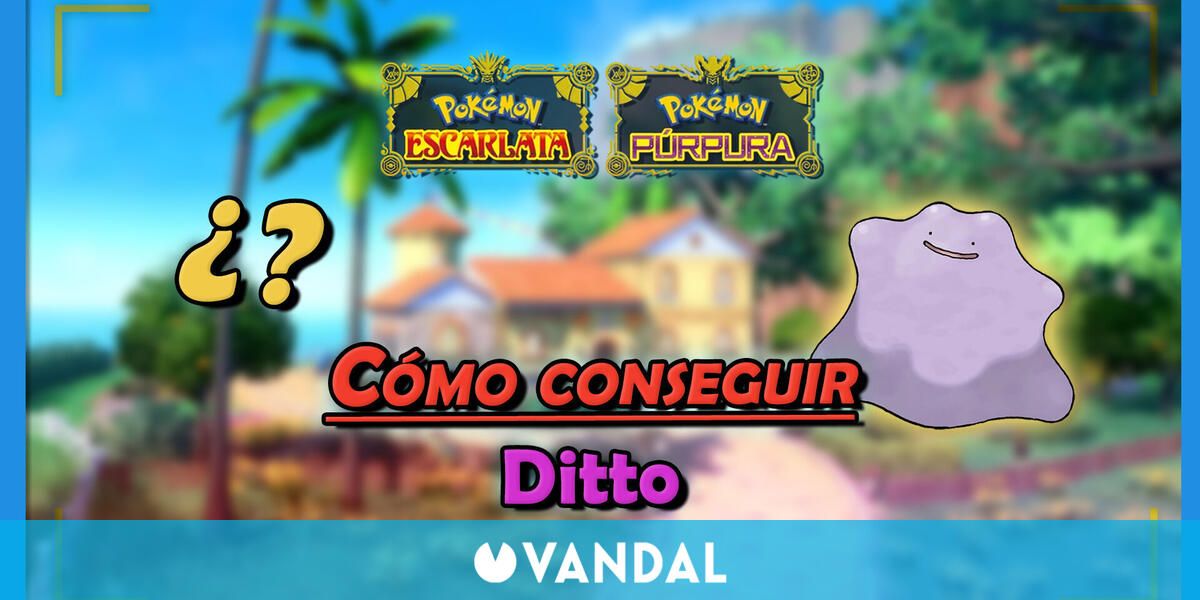 Cómo identificar y capturar a Ditto en Pokémon Escarlata y Púrpura ...