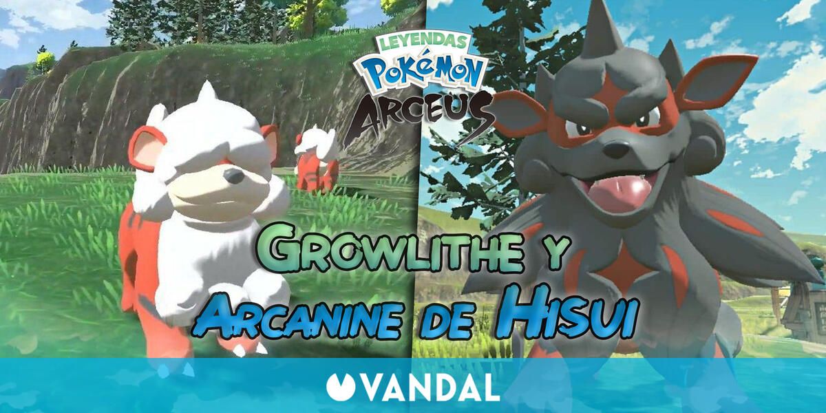Leyendas Pokémon Arceus: Growlithe de Hisui y Arcanine de Hisui - ¿cómo ...
