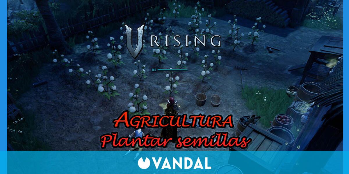 Agricultura en V Rising: Cómo conseguir y plantar semillas fácilmente