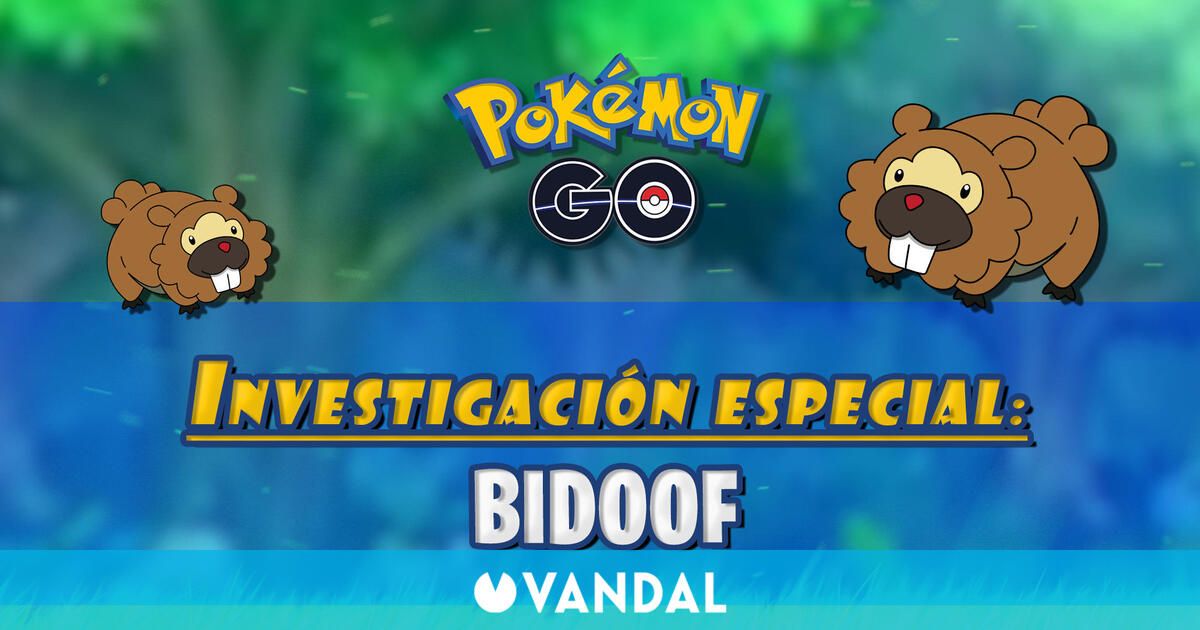 Investigación BIDOOF en Pokémon GO: Tareas, fases y recompensas