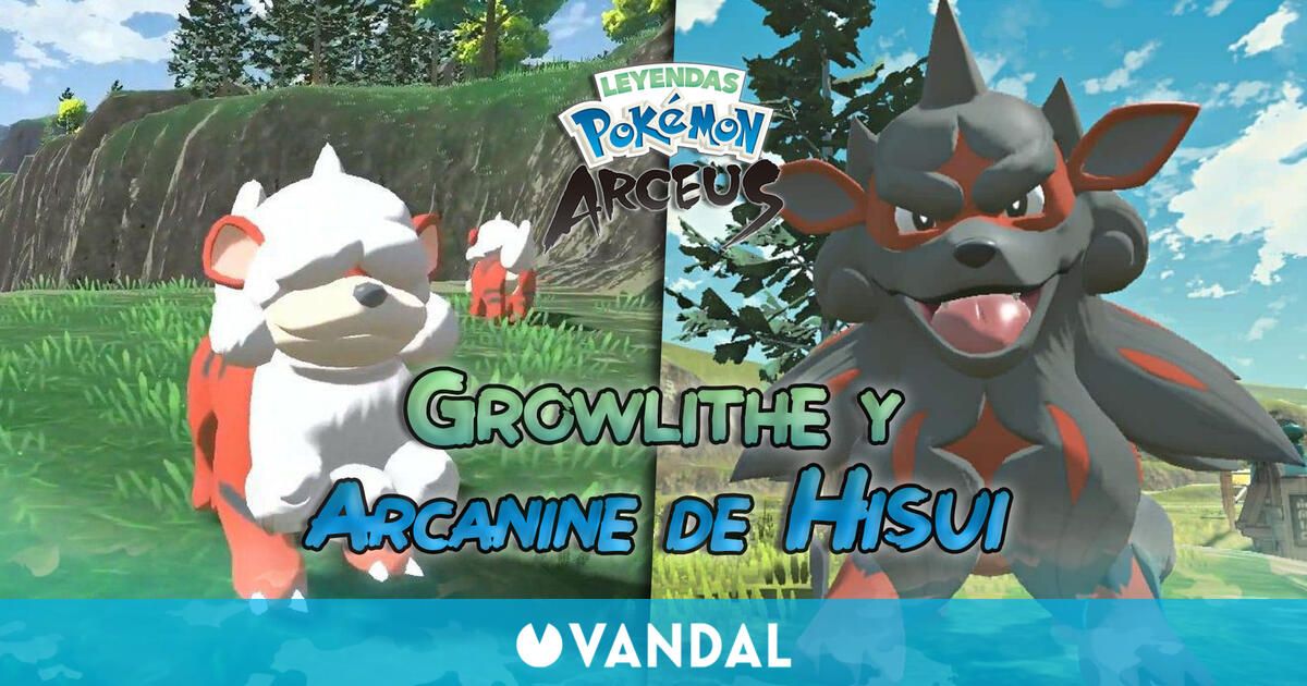Leyendas Pokémon Arceus: Growlithe de Hisui y Arcanine de Hisui - ¿cómo ...