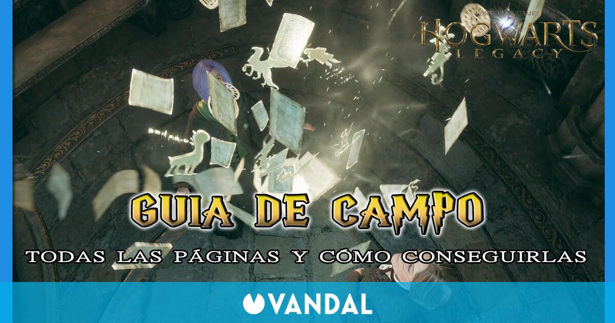 Hogwarts Legacy: TODAS las páginas de guía de campo y revelio - Cómo ...