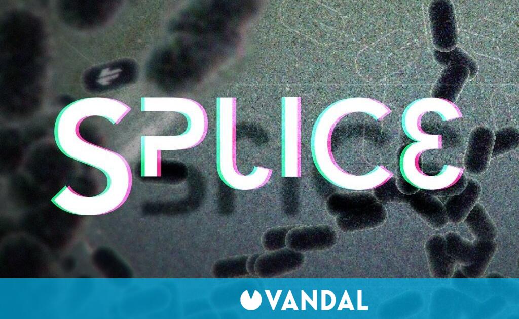 Splice - Videojuego (PS4, PC y PS3) - Vandal