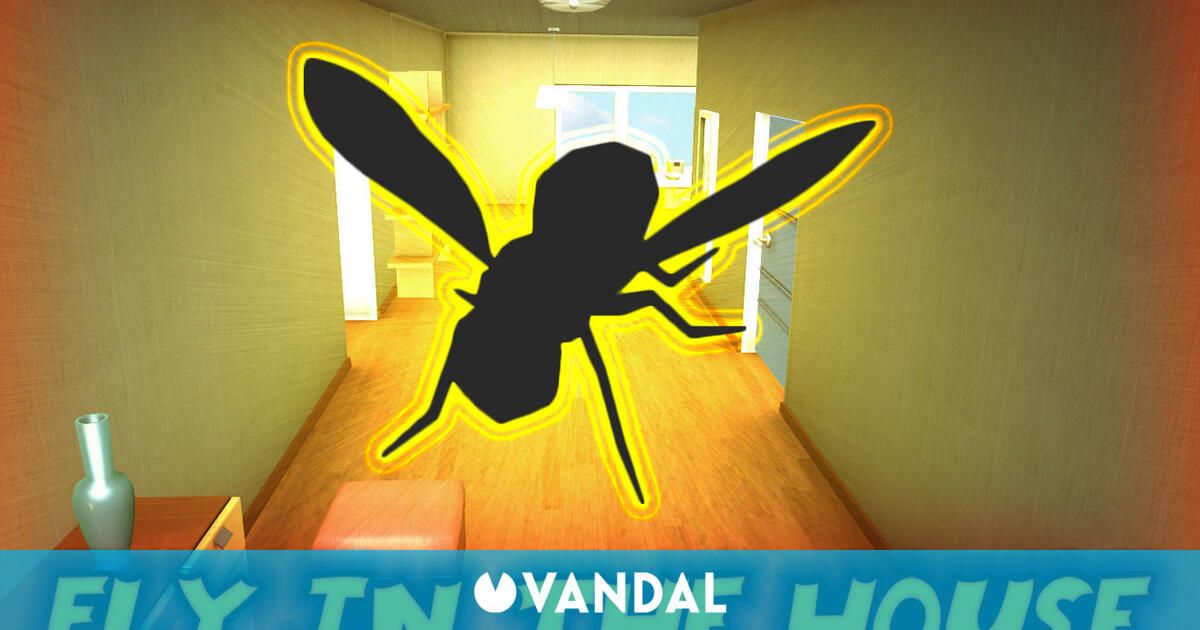 Fly in the House - Videojuego (PC) - Vandal