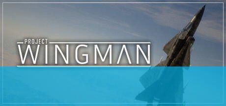 Project Wingman - Videojuego (PC y Xbox One) - Vandal