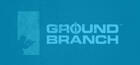 GROUND BRANCH: Requisitos mínimos y recomendados en PC - Vandal