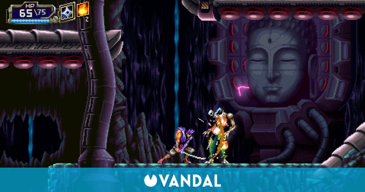 Bushiden - Videojuego (PC, PS4 y Switch) - Vandal