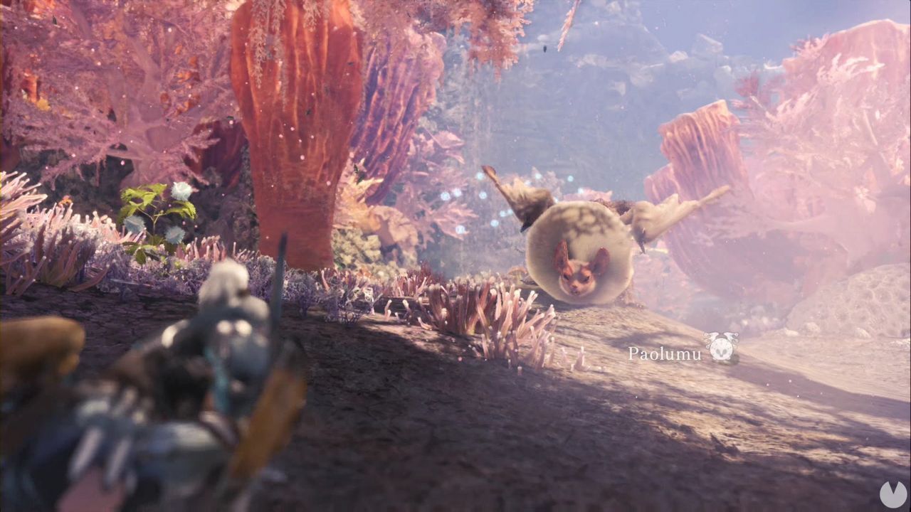 Encargo: ¡A volar Paolumu! - Monster Hunter World
