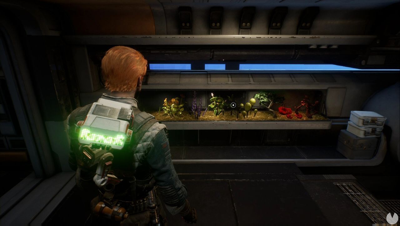 Semillas del terrario en SW Jedi: Fallen Order - Localización