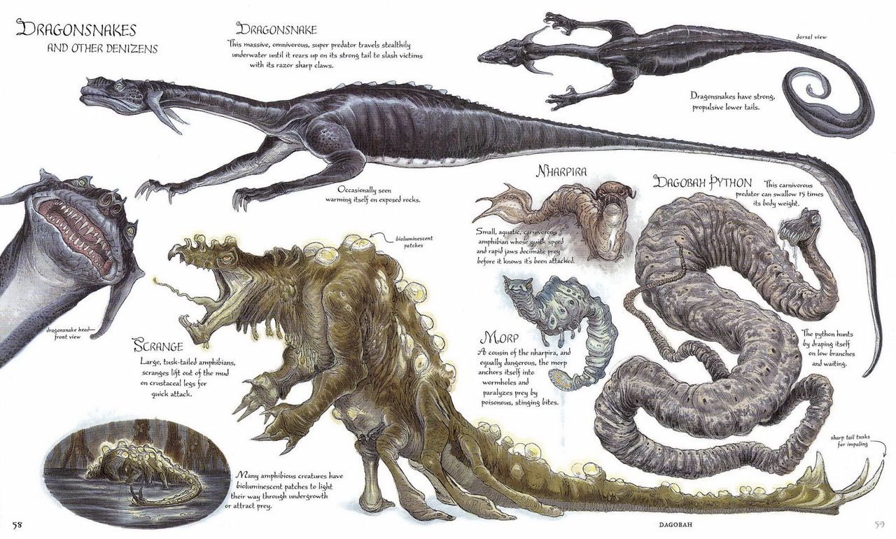 Star Wars: El misterioso dragón de Dagobah se muestra por primera vez ...