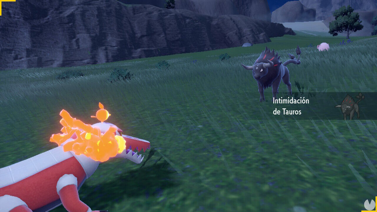 Cómo conseguir a Tauros de Paldea en Pokémon Escarlata y Púrpura