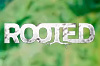 Rooted - Videojuego (PC) - Vandal