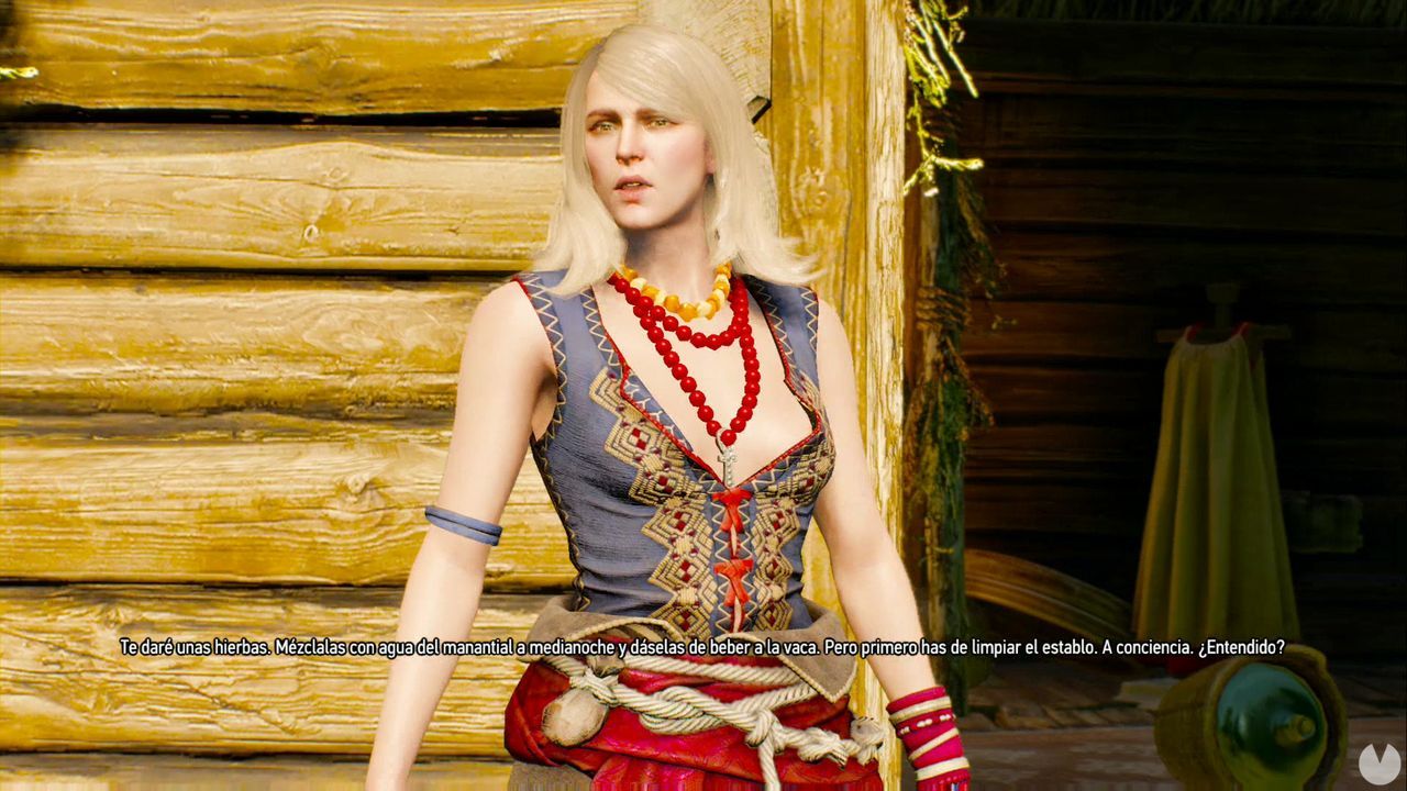 La persecución de la bruja - The Witcher 3: Wild Hunt