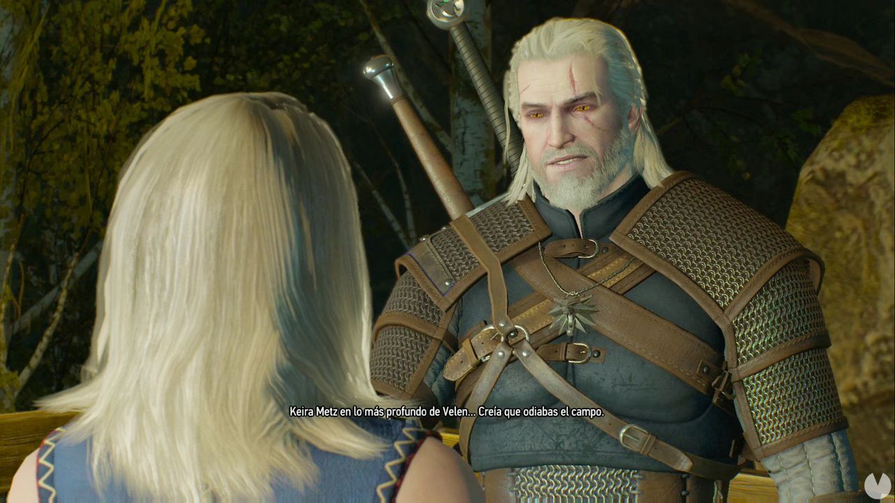 La persecución de la bruja - The Witcher 3: Wild Hunt