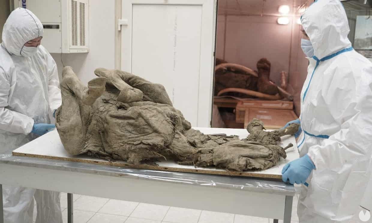 Un laboratorio ruso anuncia que está extrayendo virus de animales ...