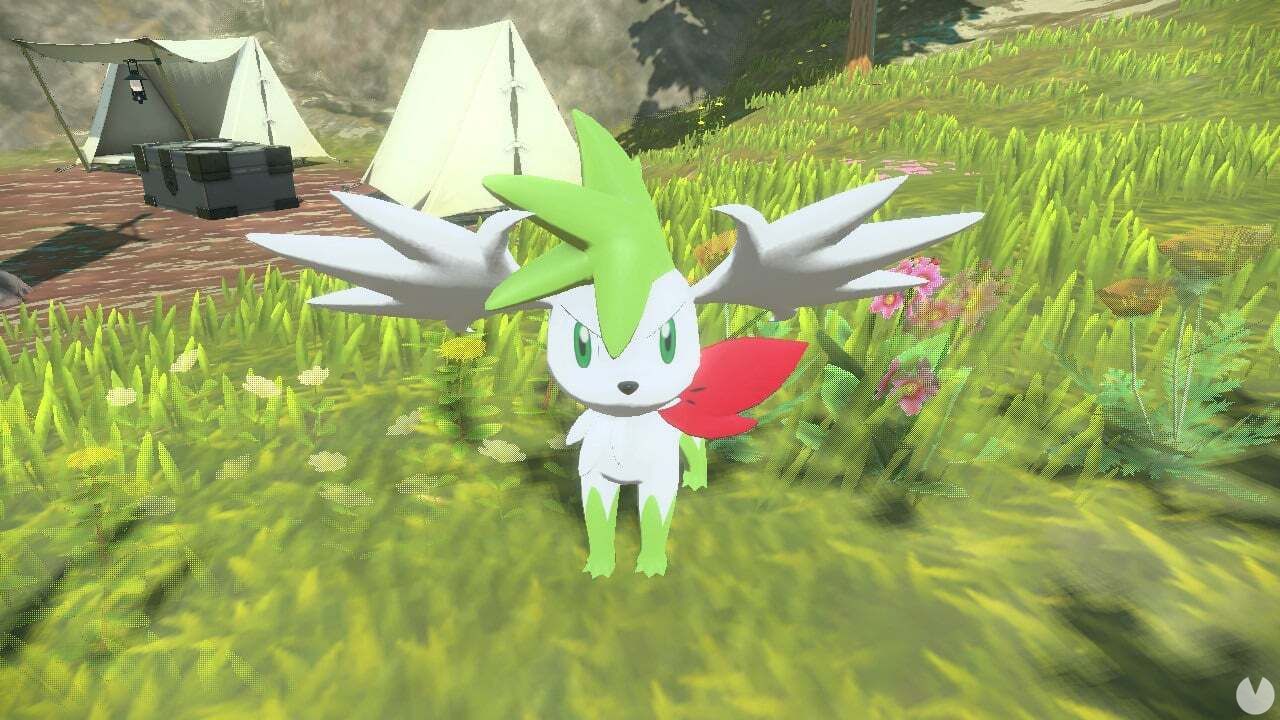 Leyendas Pokémon Arceus: Cómo conseguir a Shaymin - Requisitos y pasos