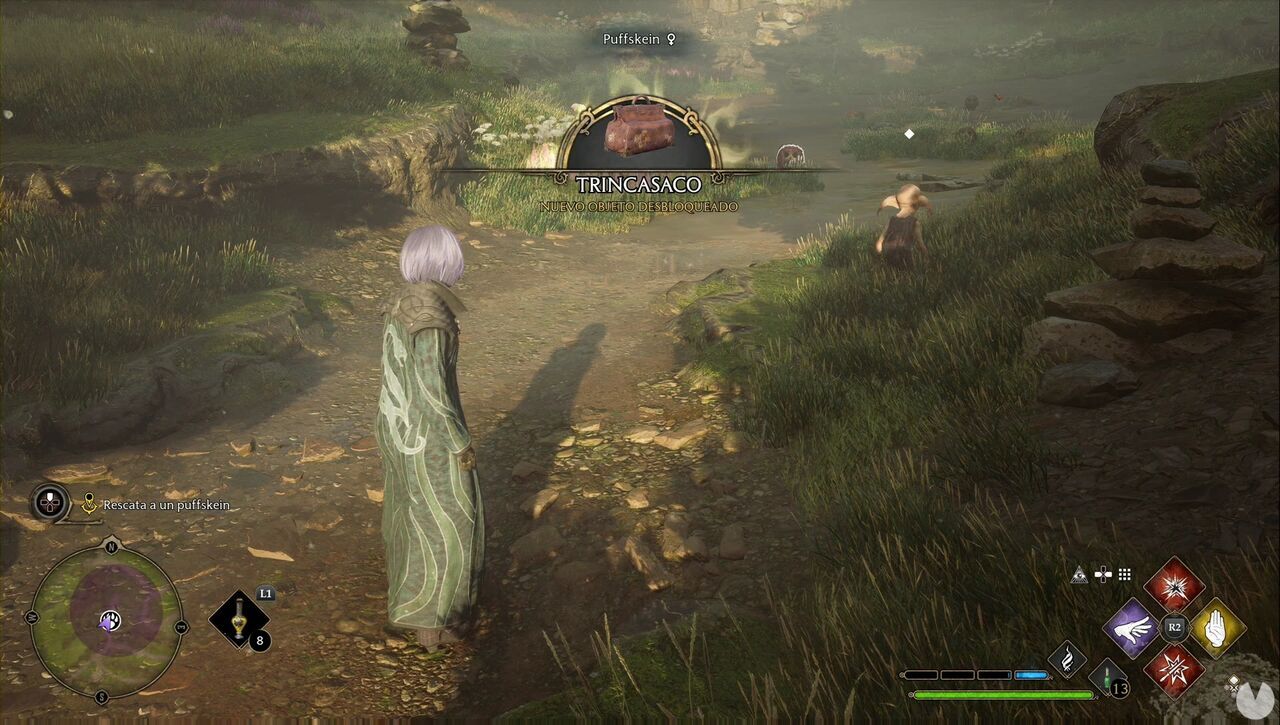 El elfo, el trincasaco y el telar al 100% en Hogwarts Legacy