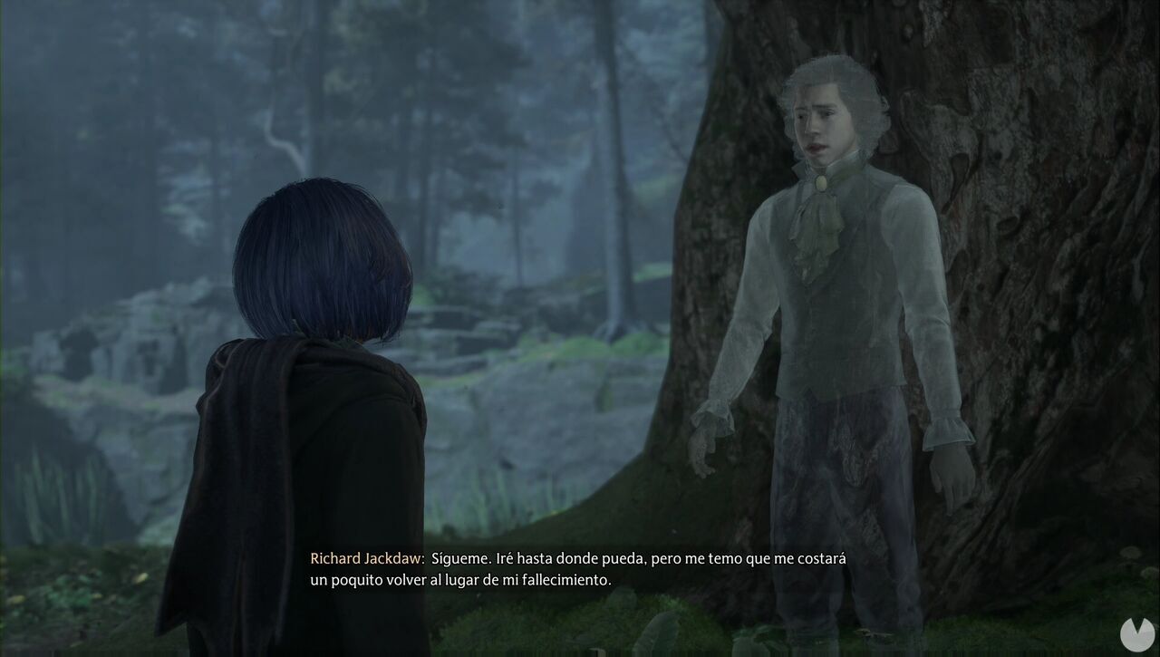 El reposo de Jackdaw al 100% en Hogwarts Legacy
