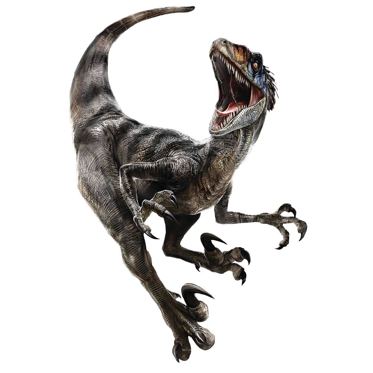 Desvelan el nuevo diseño de los velociraptores de 'Jurassic World ...