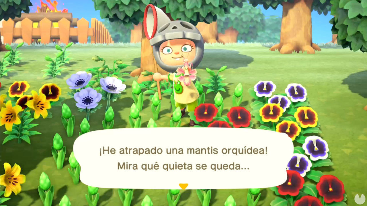 Todas las flores y cómo conseguirlas en Animal Crossing: New Horizons