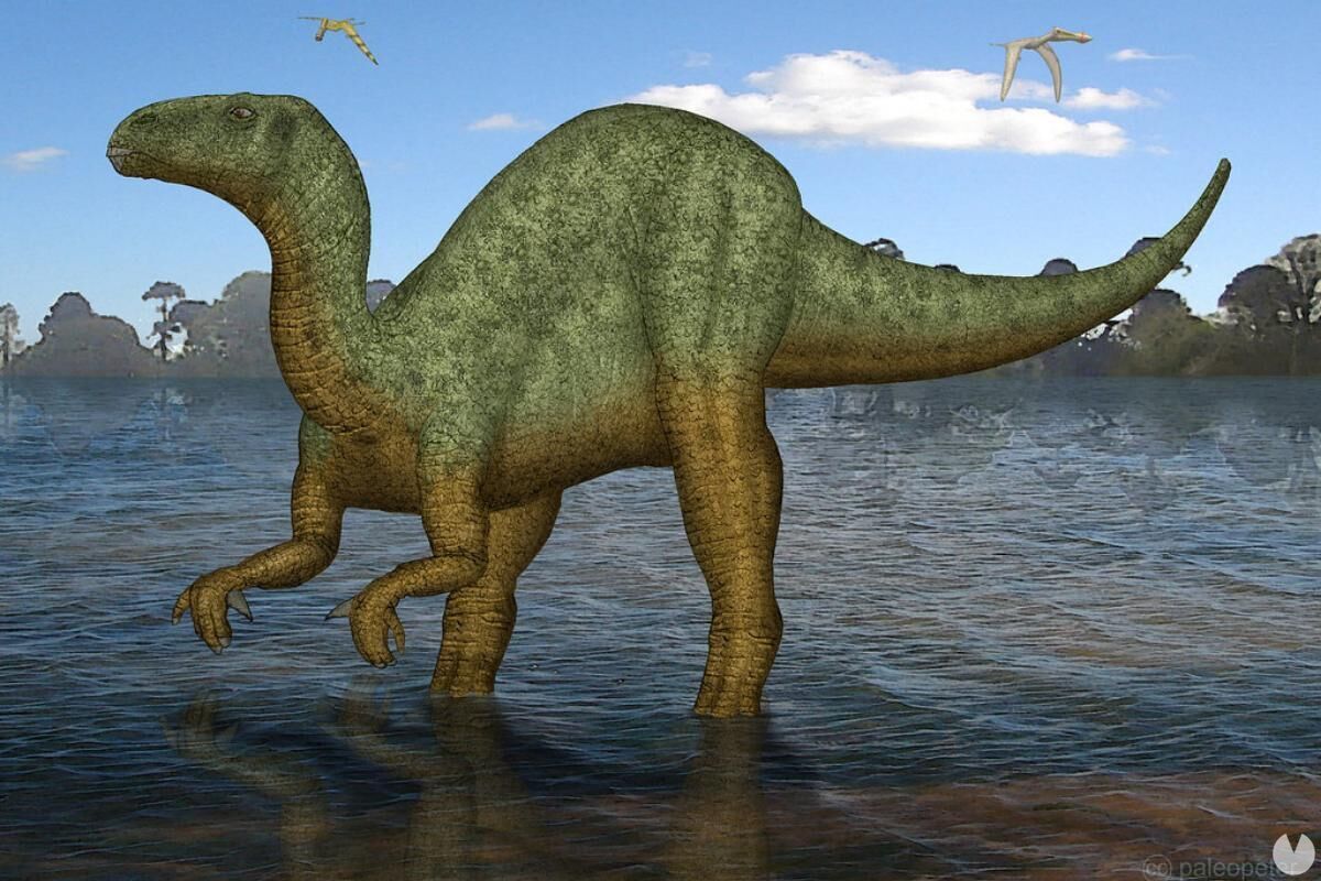 Los dinosaurios más 'españoles' que dominaron la península ibérica en ...